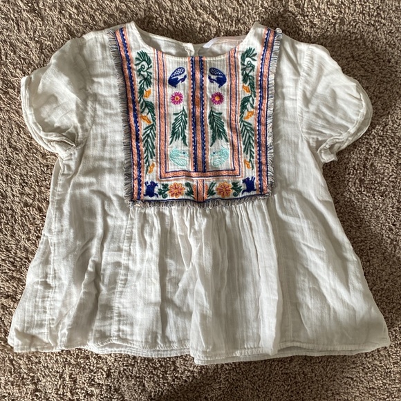 Zara | Tops | Zara Embroidered Blouse | Poshmark